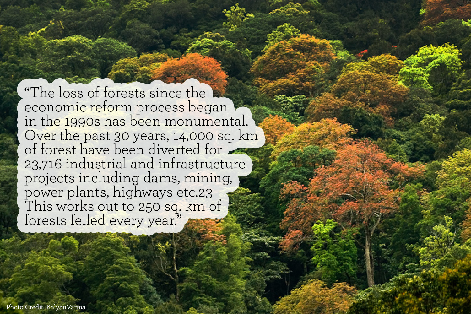 5 Things Which Give you a Glimpse of Ecological Reality of India ...