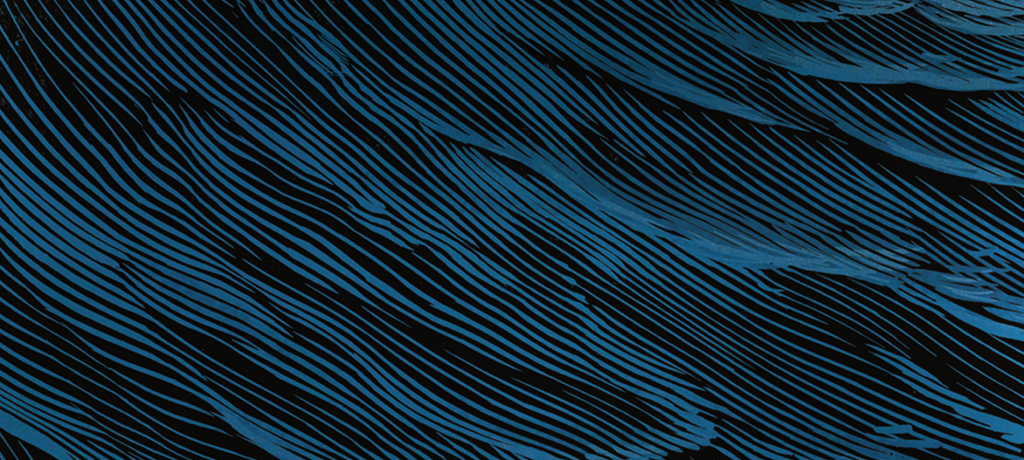 9 Things You Should Know About Philip Pullman’s ‘The Book of Dust ...