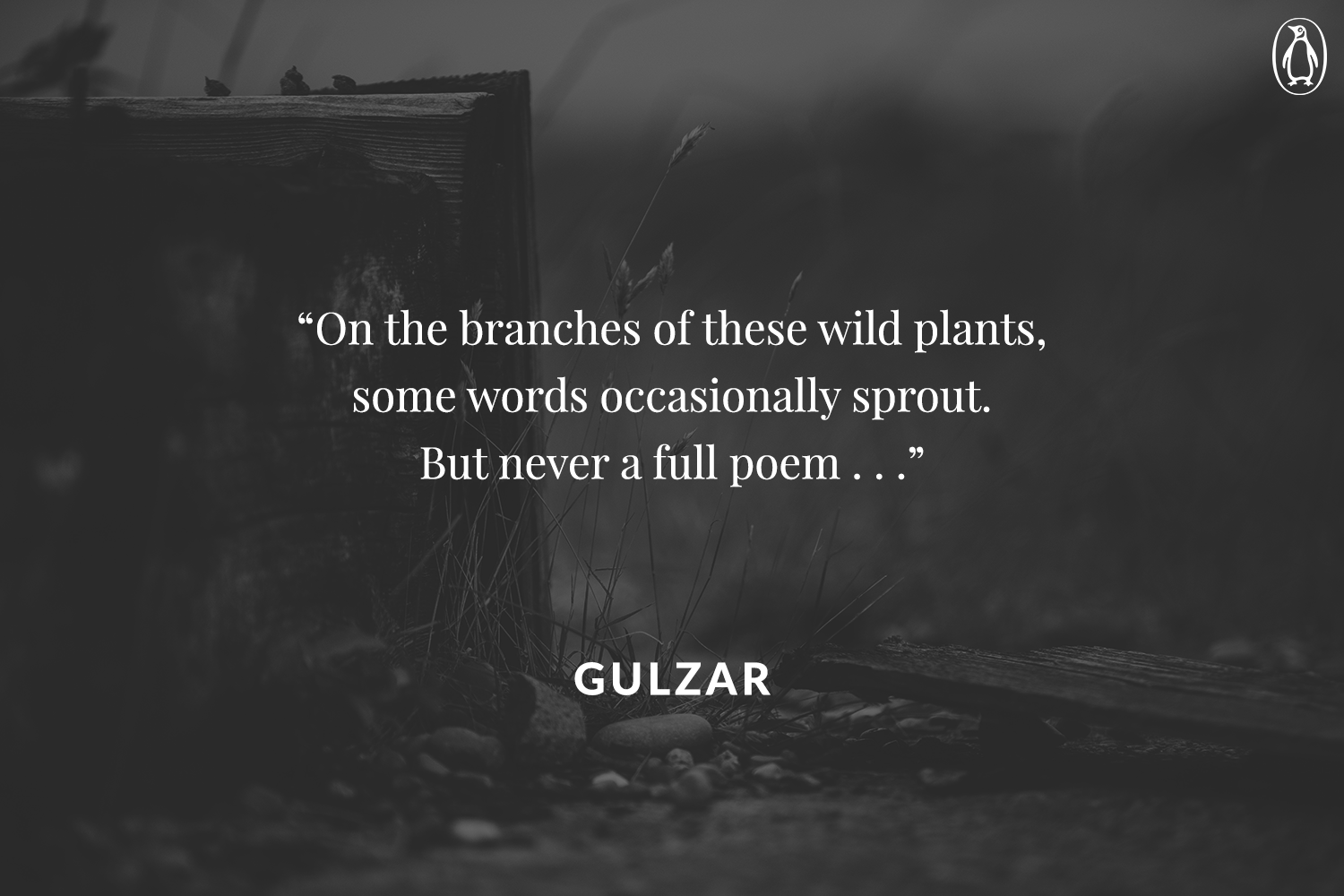 A Dash of Poetry from Some of the Finest Indian Poets - Penguin Random ...