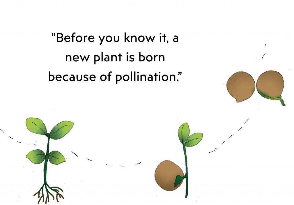 Learn Science Concepts On The Go With Biplob The Bumblebee! - Penguin ...